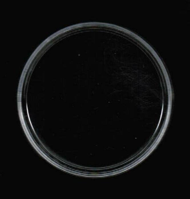 Guardhouse 40mm Direct Fit Coin Capsule