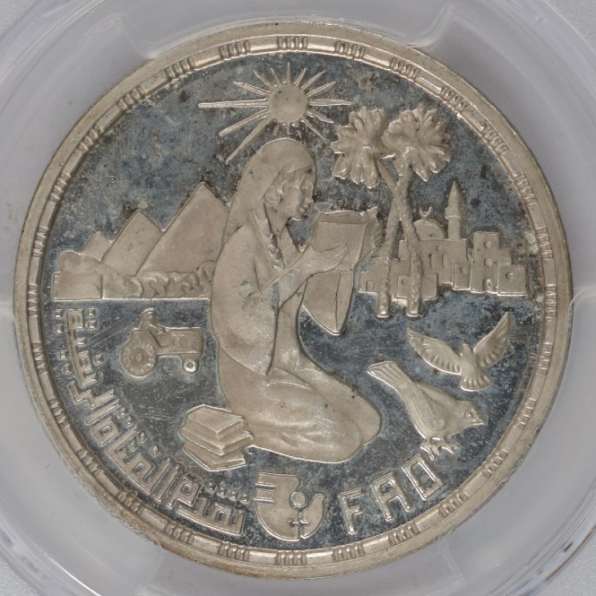 1980 Egypt 1 Pound - FAO - PCGS PR65DCAM