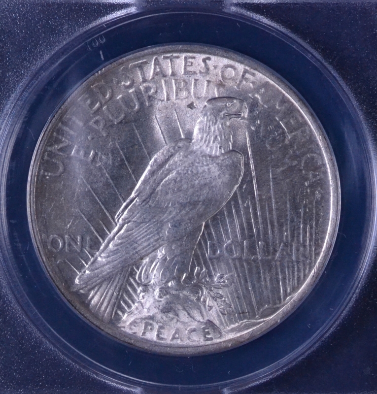 ERROR 1923 Peace Dollar - ANACS MS 63