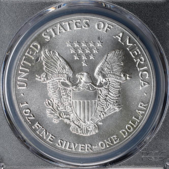 2015 $1 American Silver Eagle *Mint Error* Obverse Strike-Through ...